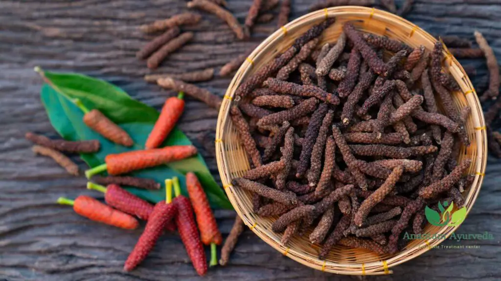 Pippali (Piper Longum) : How to Use Pippali for Cough - Anantam Ayurveda
