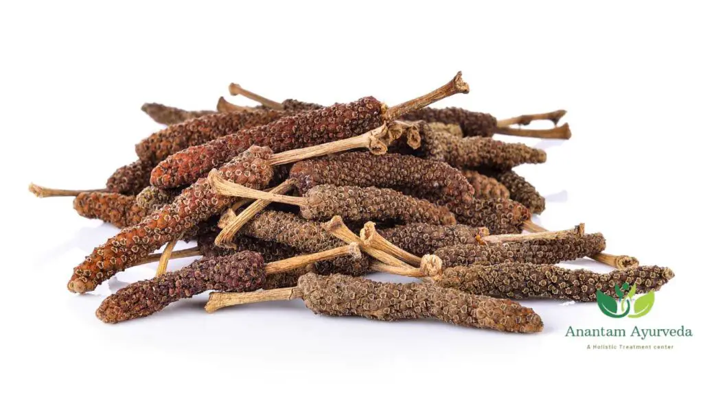 Pippali (Piper Longum) : How to Use Pippali for Cough - Anantam Ayurveda