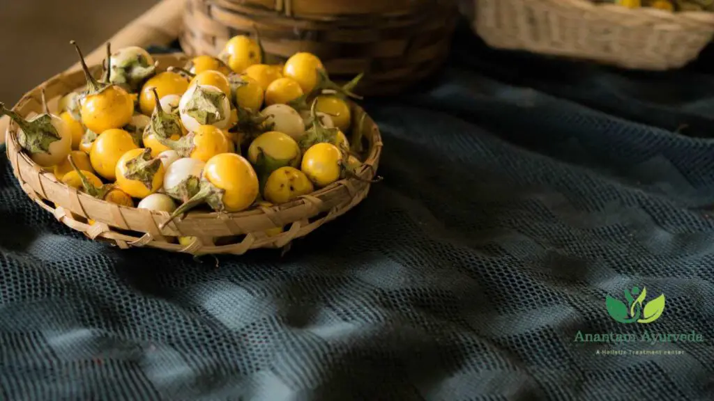 Kantakari (Solanum surattense): Nutrients, Benefits & How to Use ...