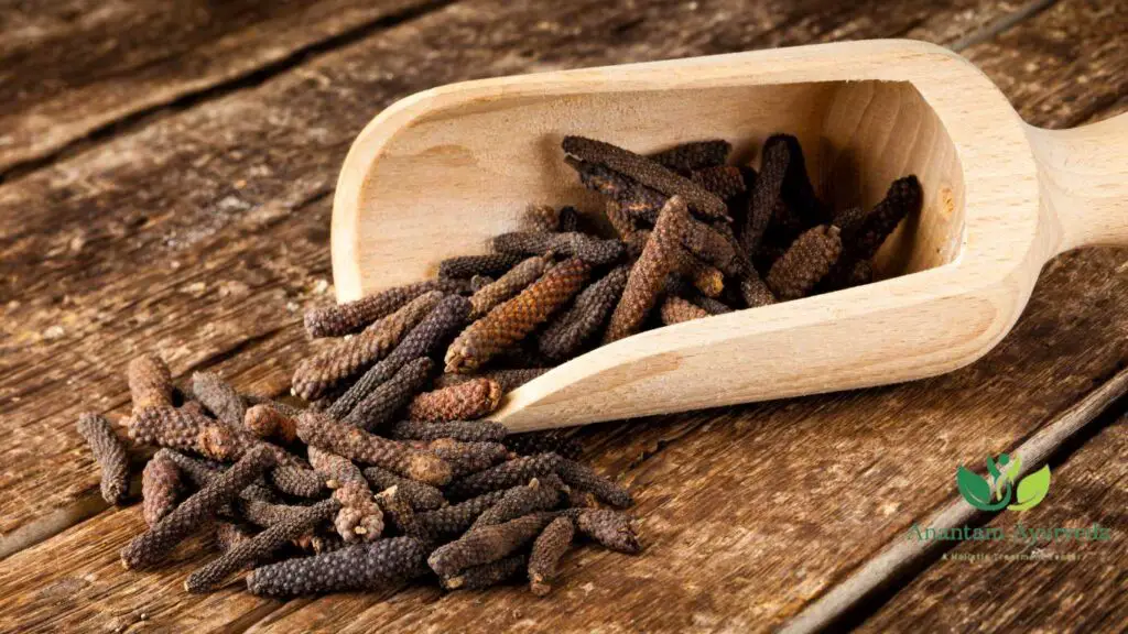 Pippali (Piper Longum) : How to Use Pippali for Cough - Anantam Ayurveda