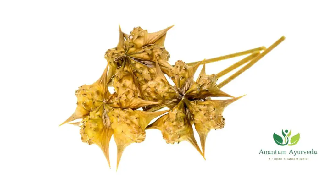 Dashmool Ingredients, Benefits: How to Use Dashmool Kwath - Anantam ...