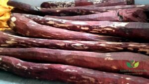Red Sandalwood (Pterocarpus santalinus): Benefits & Uses - Anantam Ayurveda