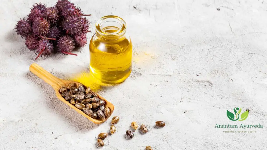 Eranda (Ricinus communis): Qualities, Benefits & Uses - Anantam Ayurveda