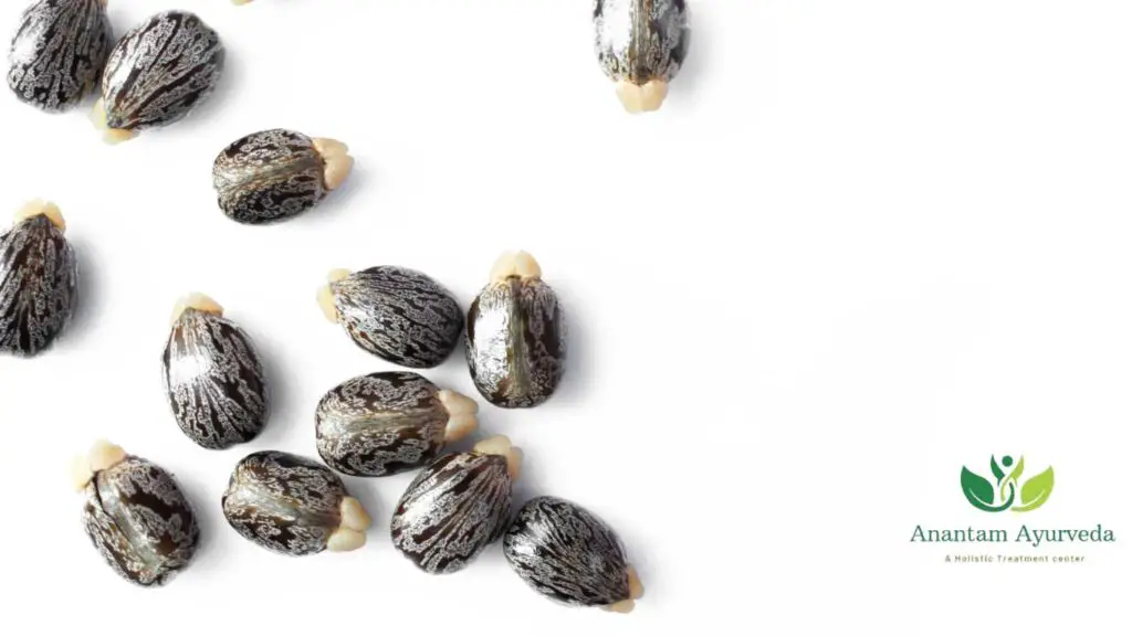 Eranda (Ricinus communis): Qualities, Benefits & Uses - Anantam Ayurveda