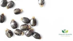 Eranda (Ricinus communis): Qualities, Benefits & Uses - Anantam Ayurveda
