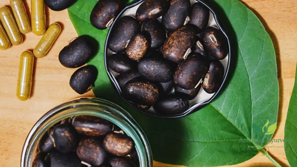 Kaunch Beej: Benefits of Kapikacchu (Mucuna pruriens) - Anantam Ayurveda