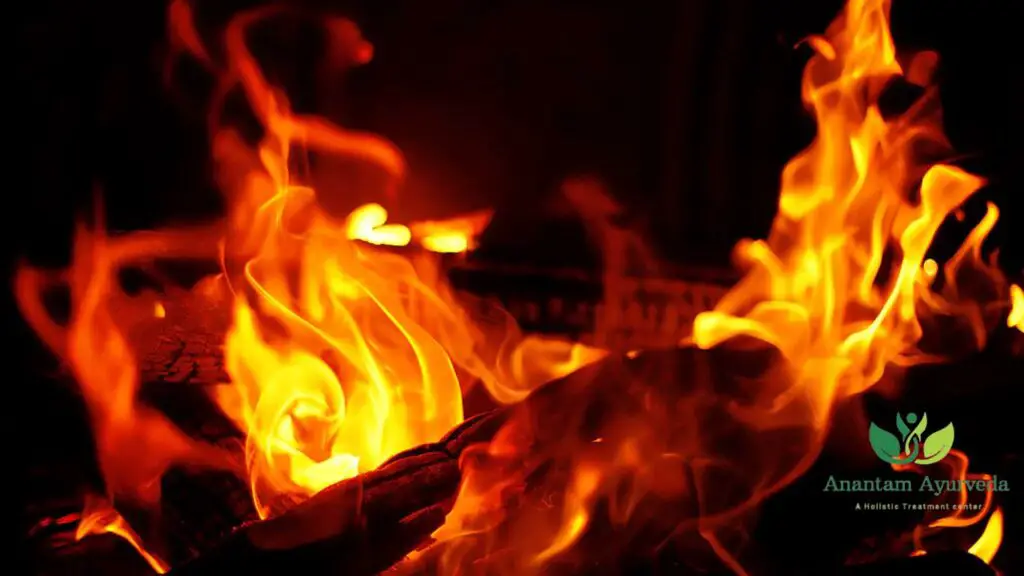 Pancha Mahabhuta : Their Role in Health - Anantam Ayurveda