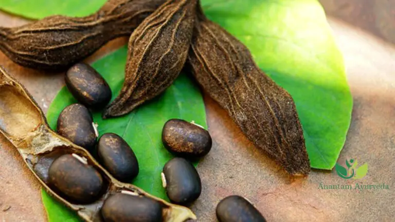 Kaunch Beej: Benefits of Kapikacchu (Mucuna pruriens) - Anantam Ayurveda