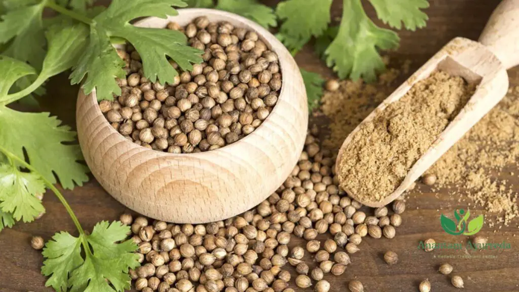 Dhaniya (Coriandrum Sativum): Dhaniya Water Benefits - Anantam Ayurveda