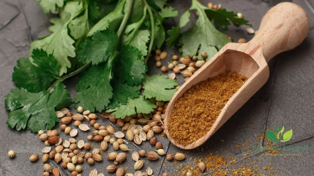 Dhaniya (Coriandrum Sativum): Dhaniya Water Benefits - Anantam Ayurveda